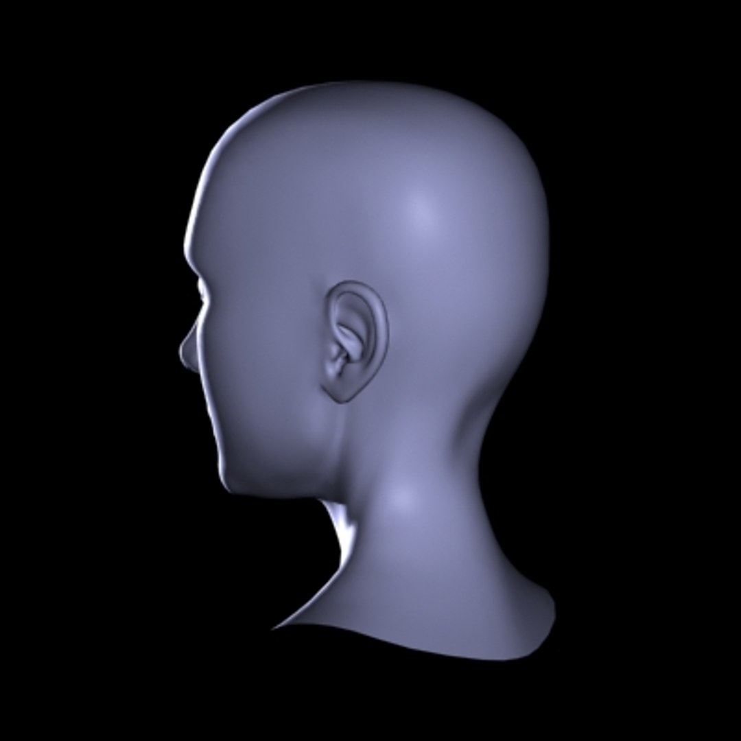 3d Female Head