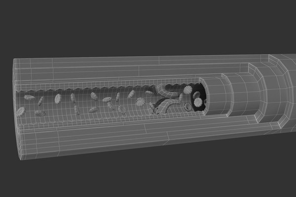 3D human blood vessels capillary model - TurboSquid 1652764