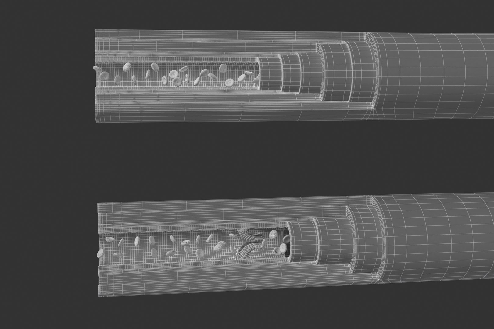 3D Human Blood Vessels Capillary Model - TurboSquid 1652764