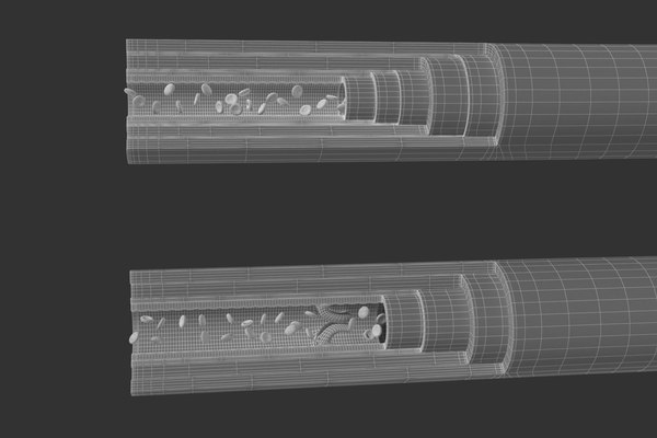 3D human blood vessels capillary model - TurboSquid 1652764