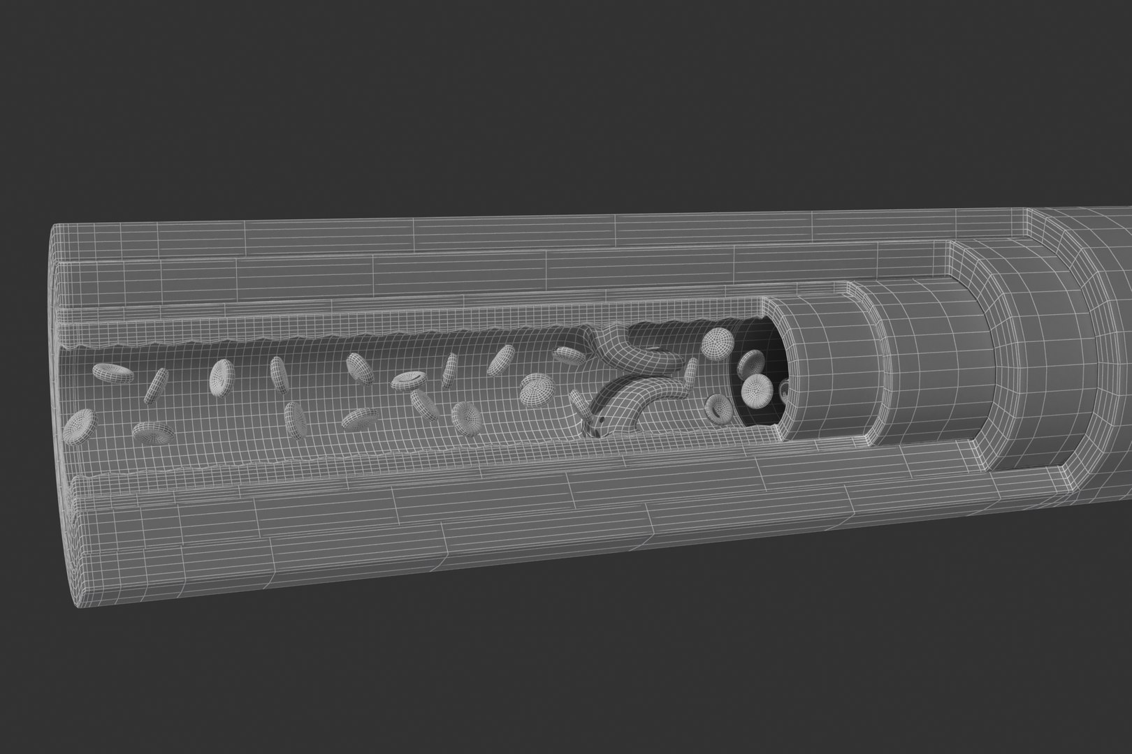 3D Human Blood Vessels Capillary Model - TurboSquid 1652764