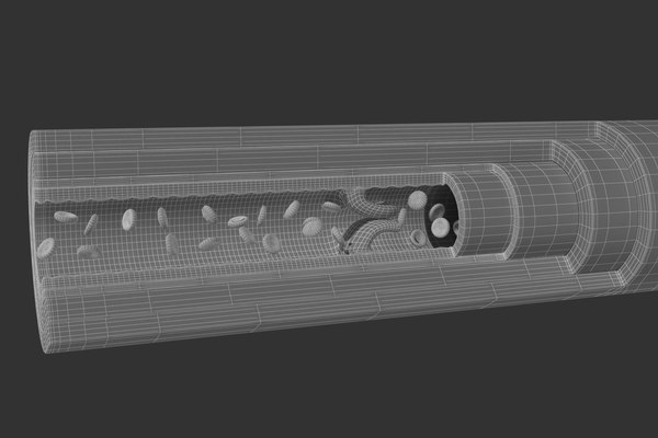 3D human blood vessels capillary model - TurboSquid 1652764