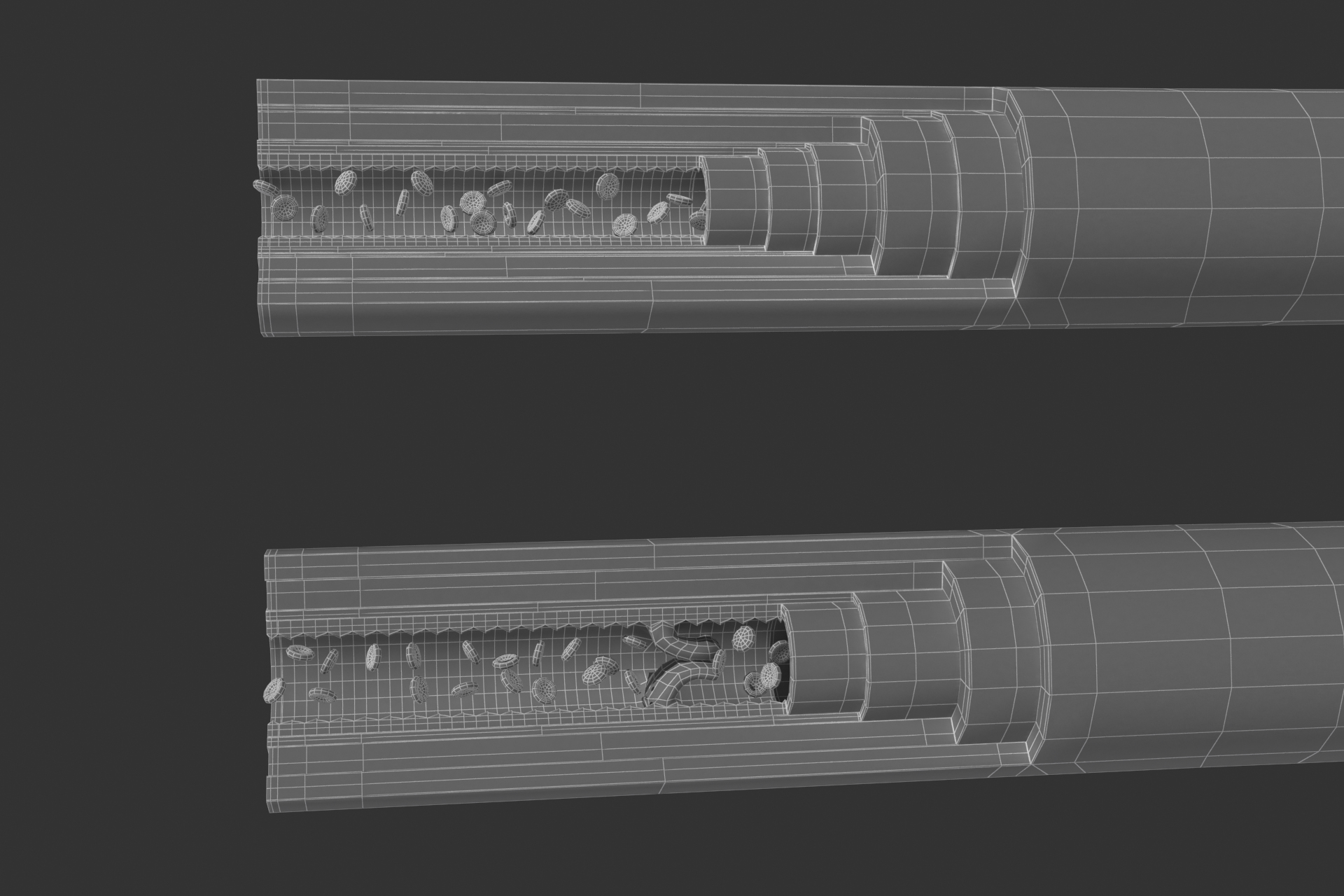 3D human blood vessels capillary model - TurboSquid 1652764