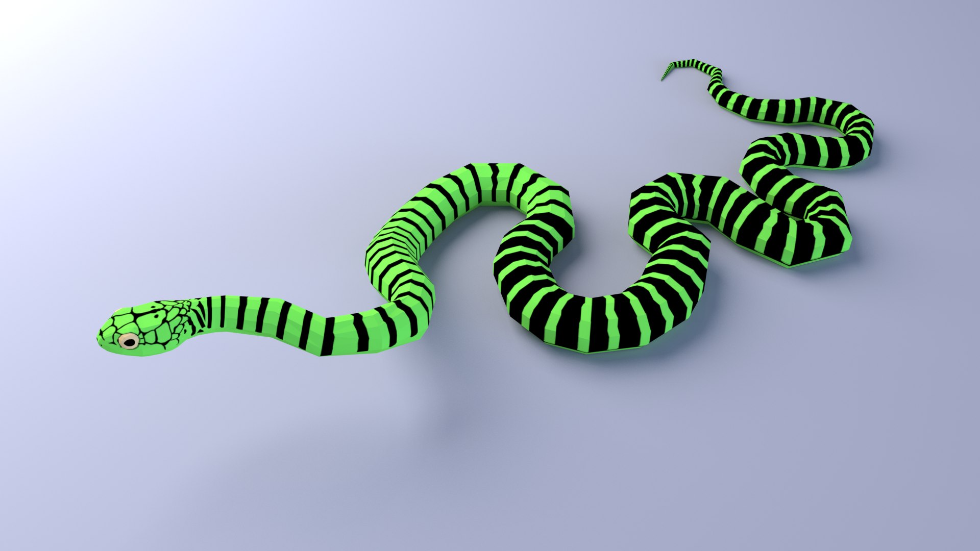 Boomslang snake reptile animation model - TurboSquid 1392820