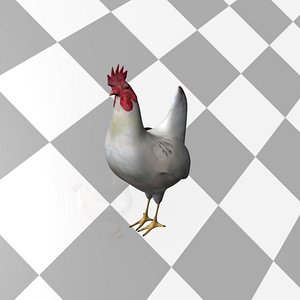Chicky Mascot Model - TurboSquid 1159210
