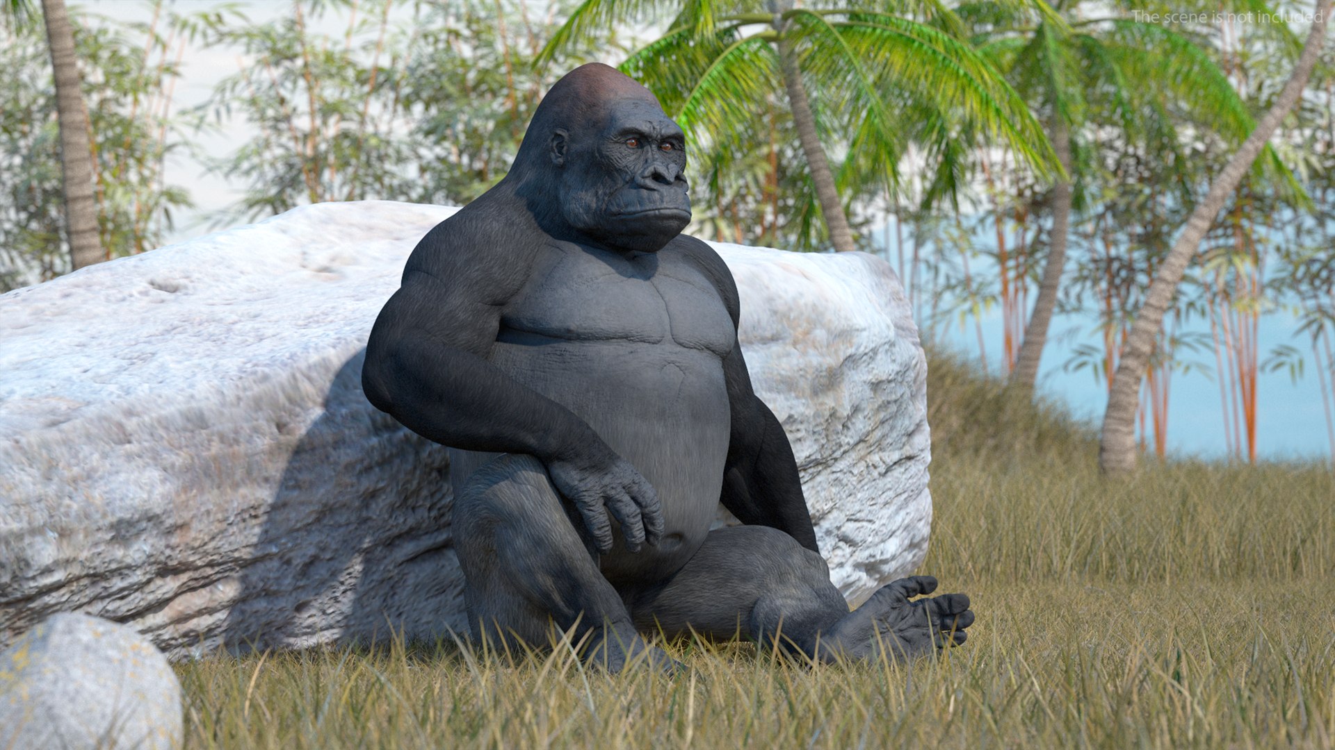 3D Western Gorilla Rigged Model - TurboSquid 2196848