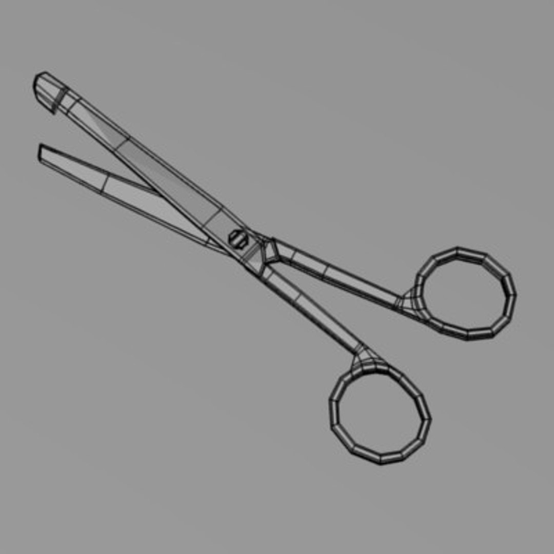 3d model autopsy tools