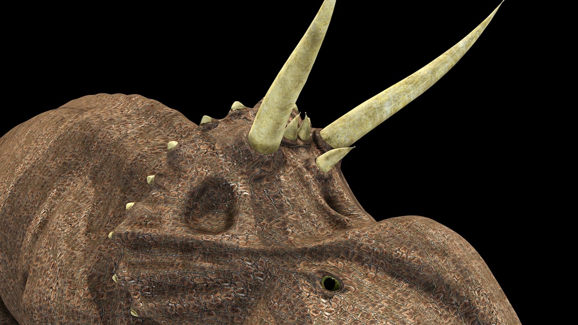 3D Dinosaur Platform Stones Model - TurboSquid 1237213