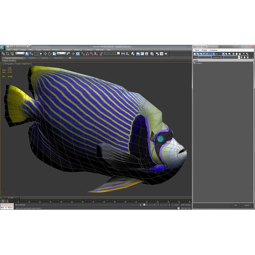 3d model angelfish fish