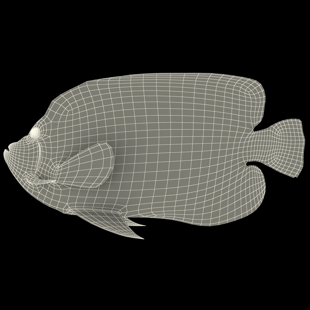 3d model angelfish fish