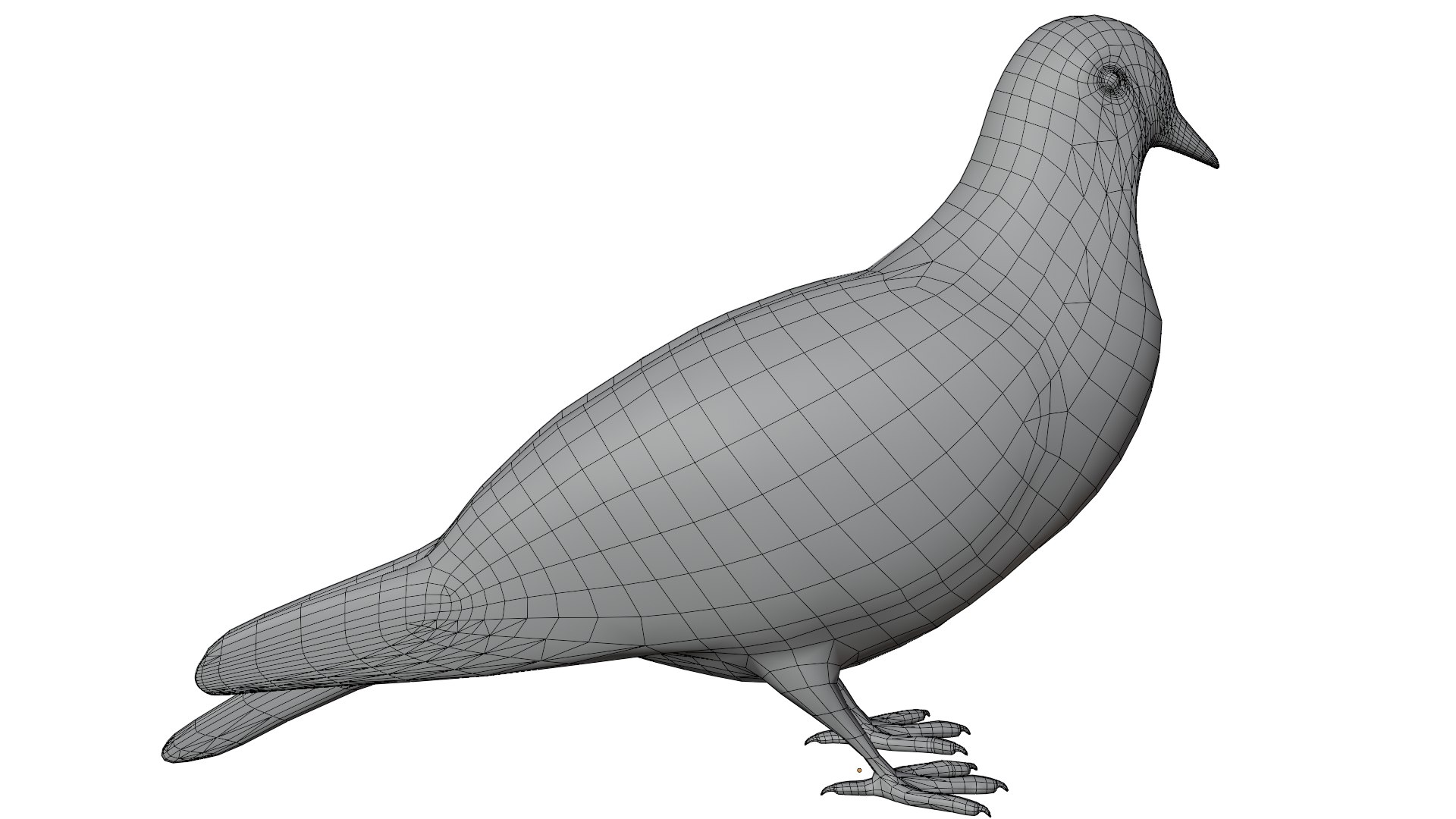 3D Pigeon - TurboSquid 2211146