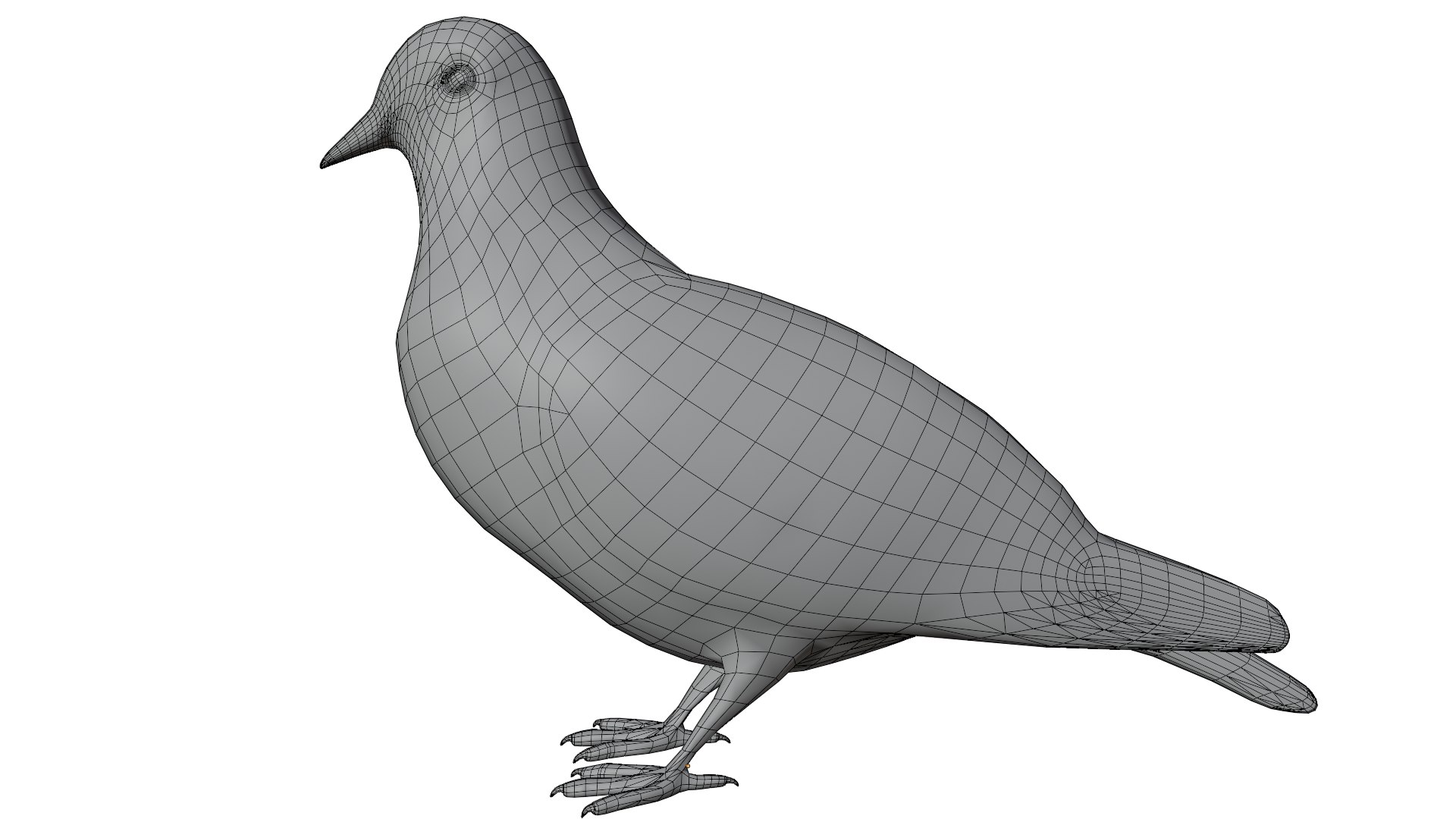 3D Pigeon - TurboSquid 2211146