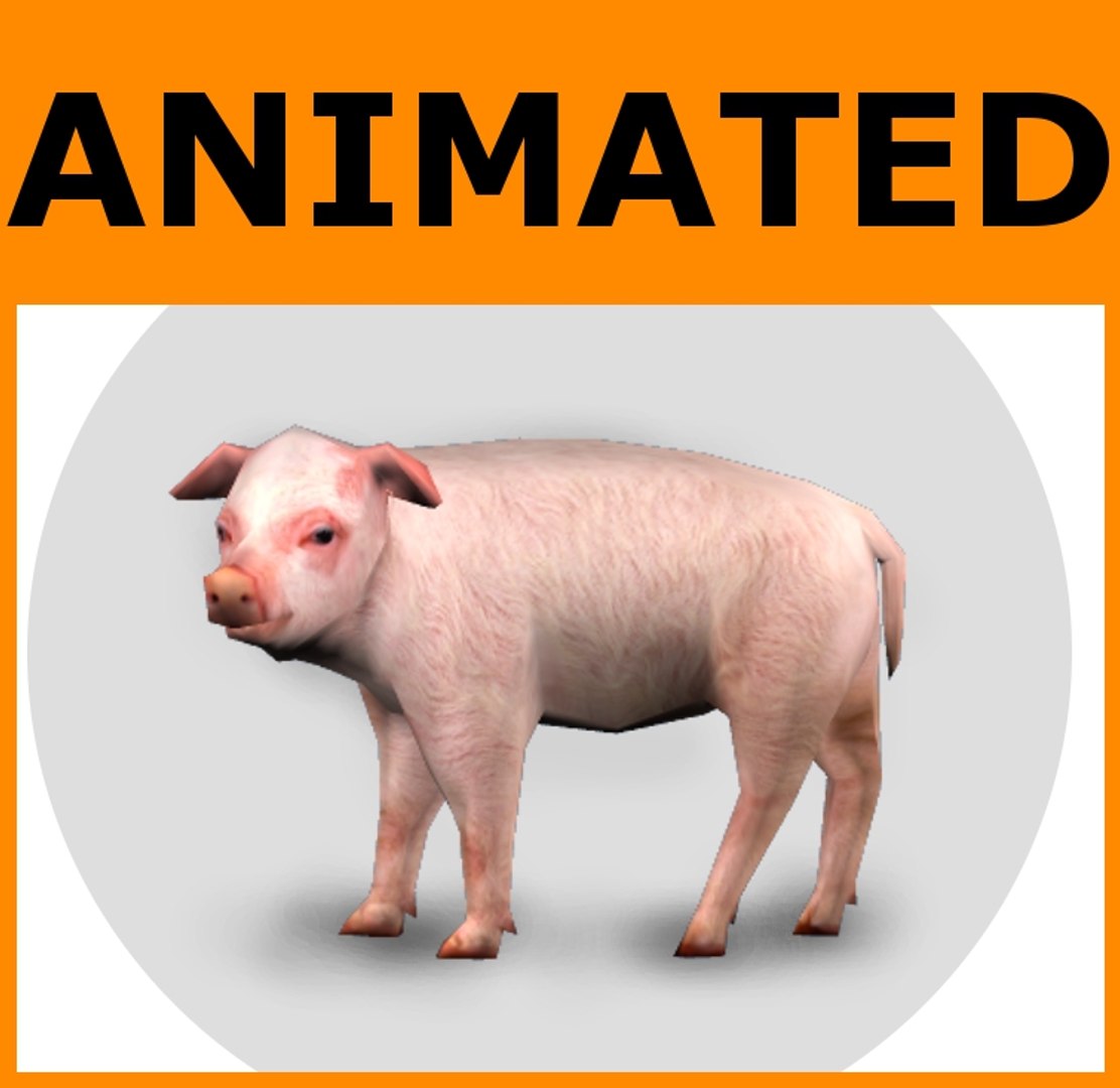 3d X Ready Pig Animations