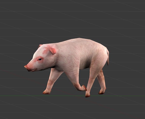 3d x ready pig animations