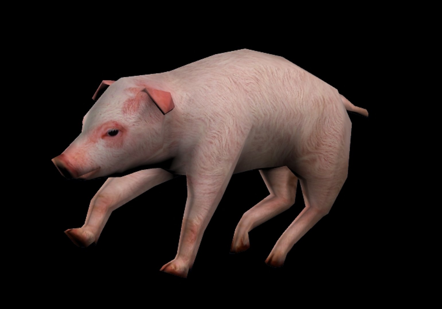 3d X Ready Pig Animations