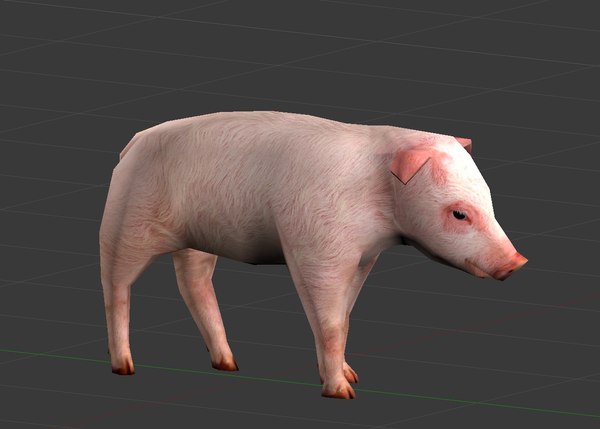 3d x ready pig animations