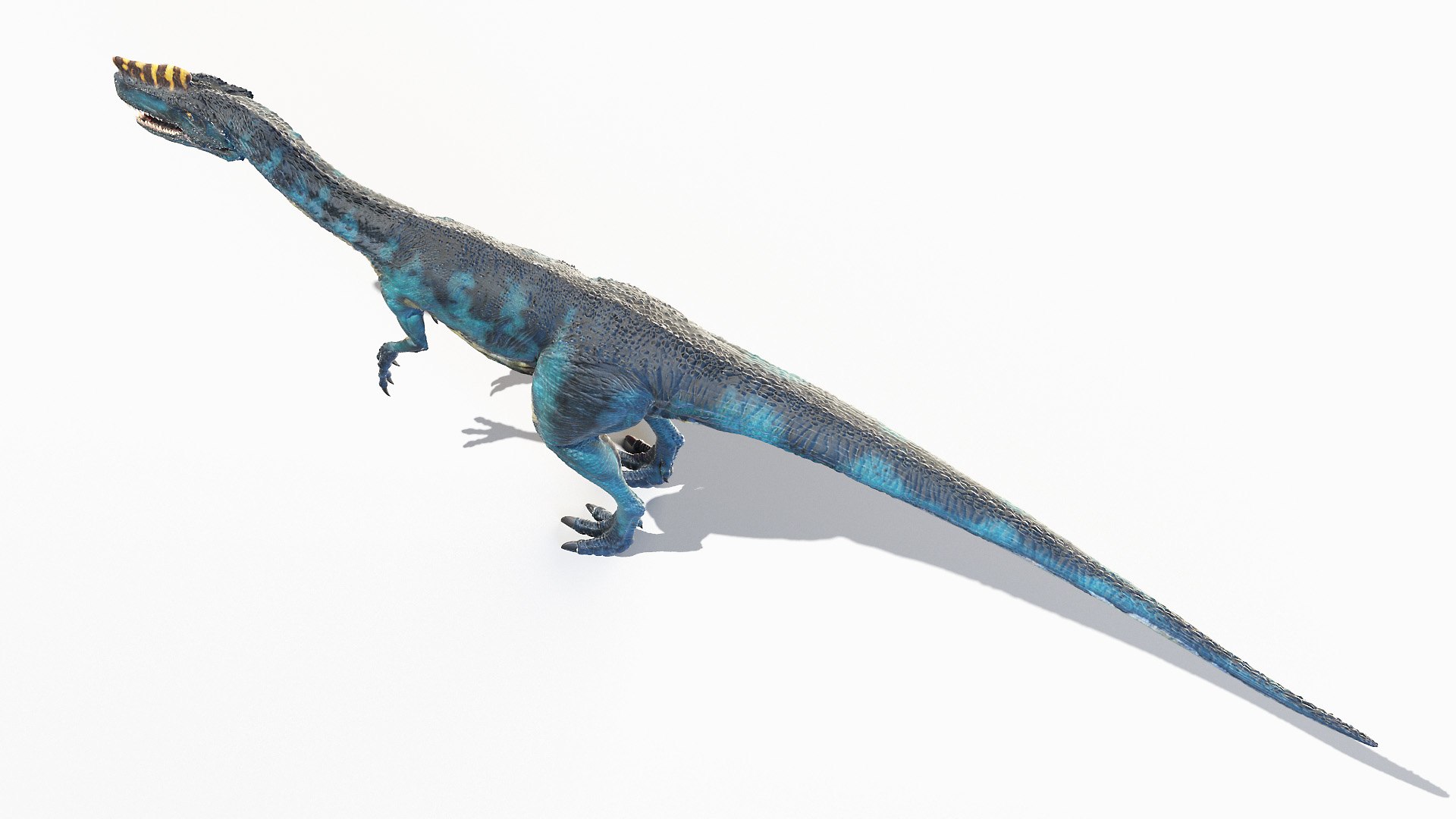 3D Proceratosaurus Static - TurboSquid 1902061