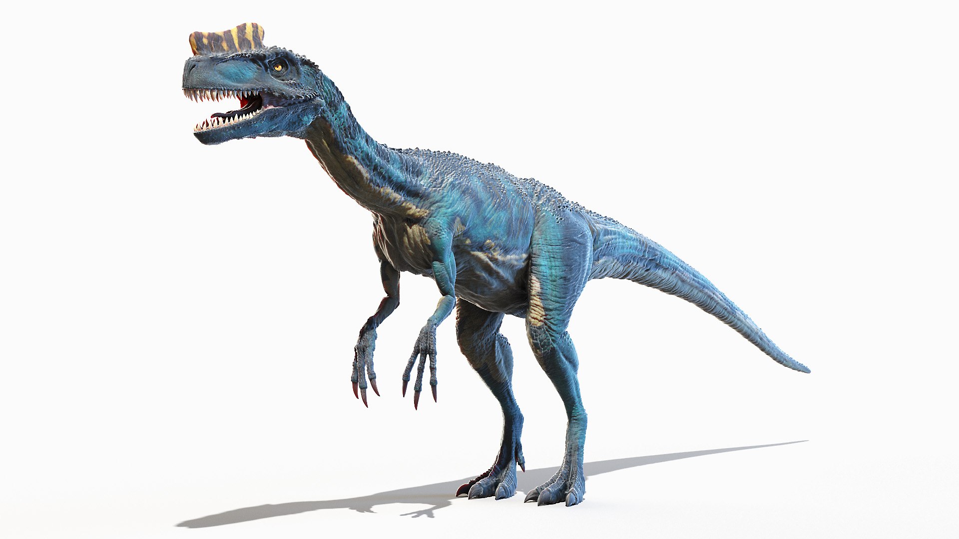 3D Proceratosaurus Static - TurboSquid 1902061