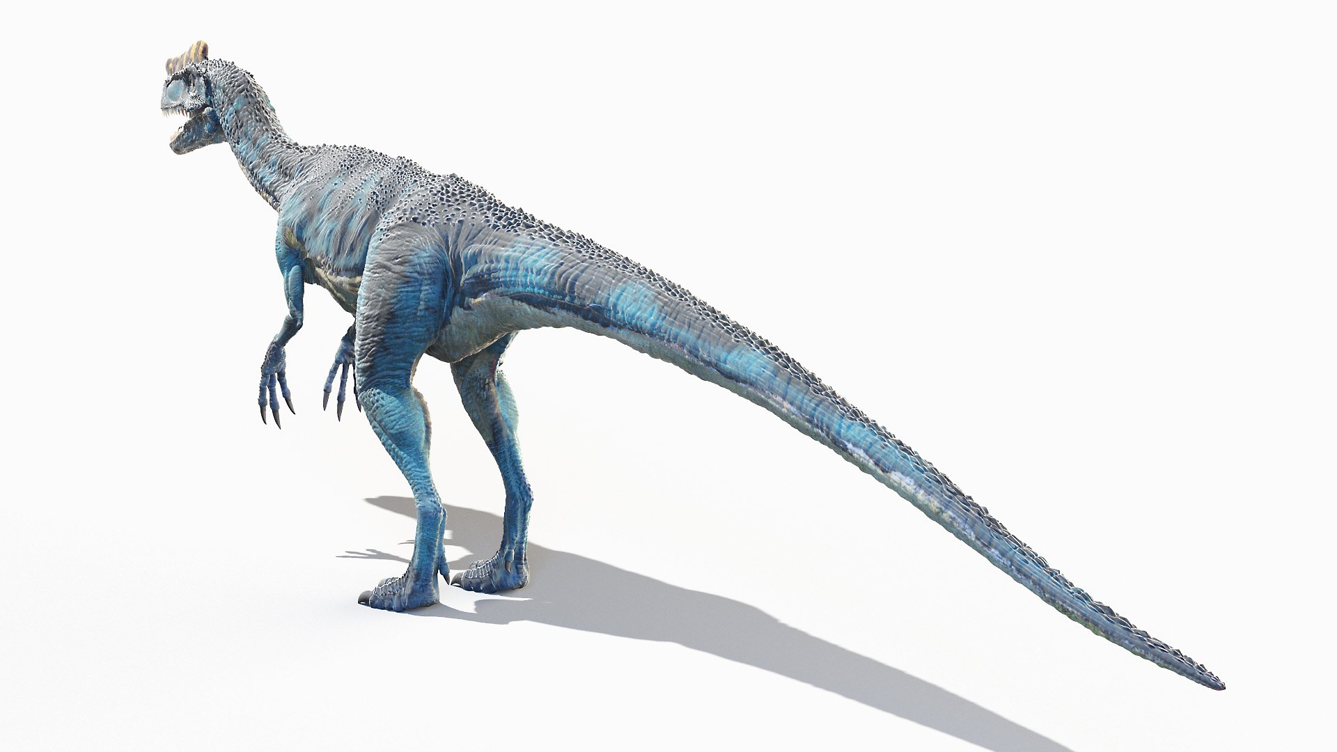 3D Proceratosaurus Static - TurboSquid 1902061