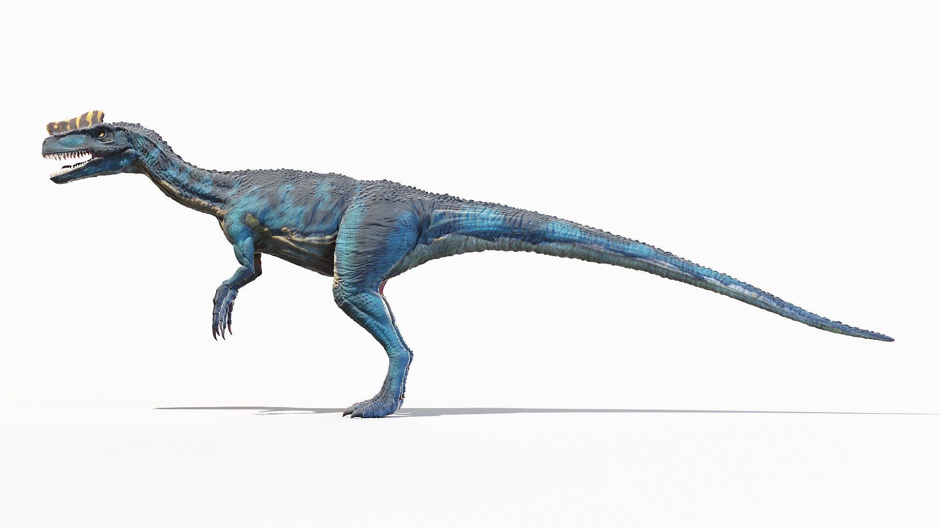 3D Proceratosaurus Static - TurboSquid 1902061