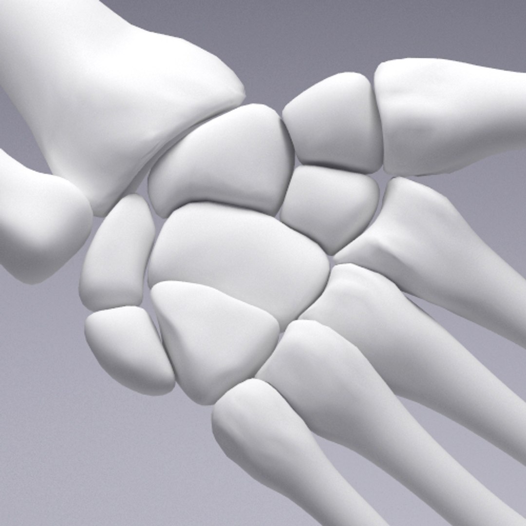 Max Hand