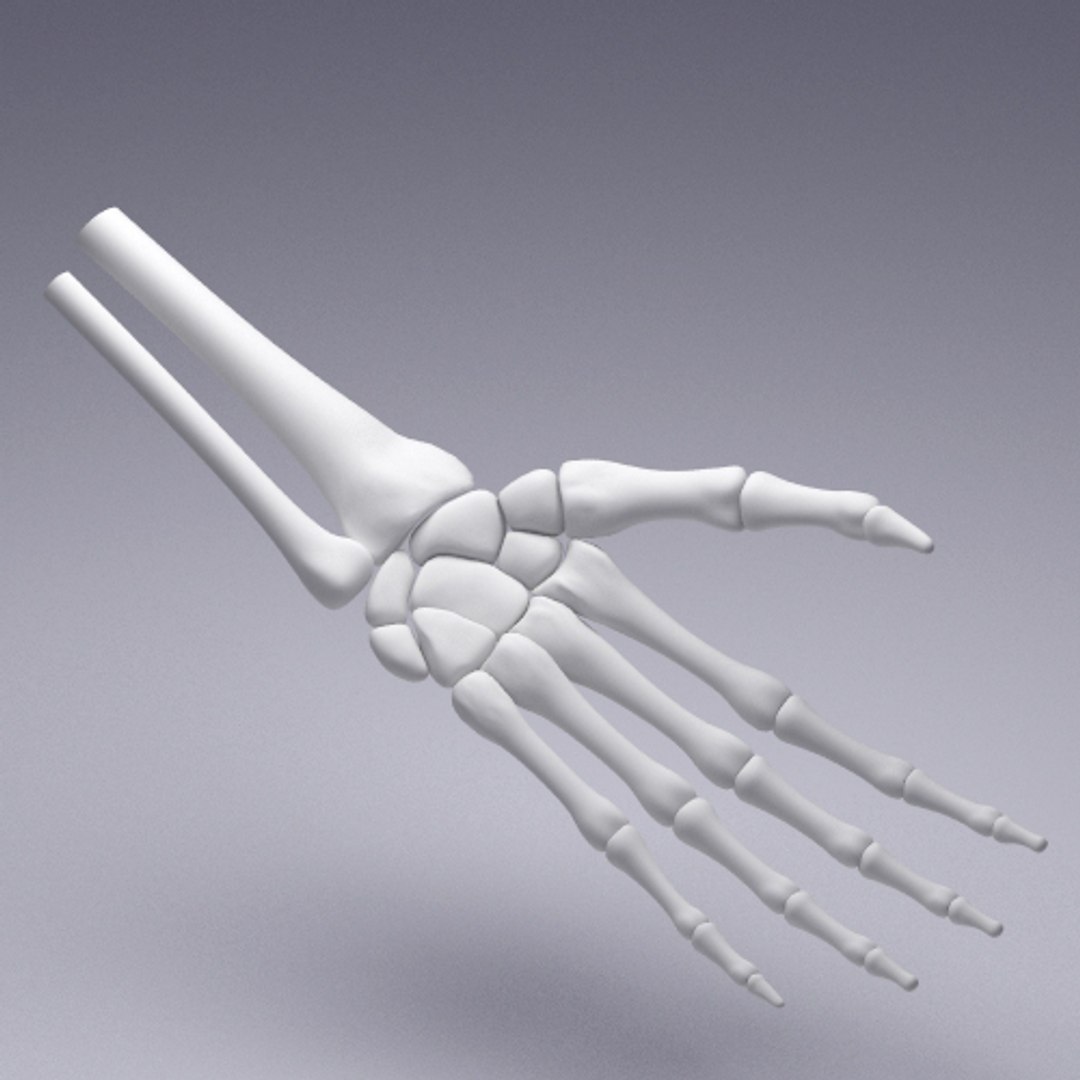 Max Hand