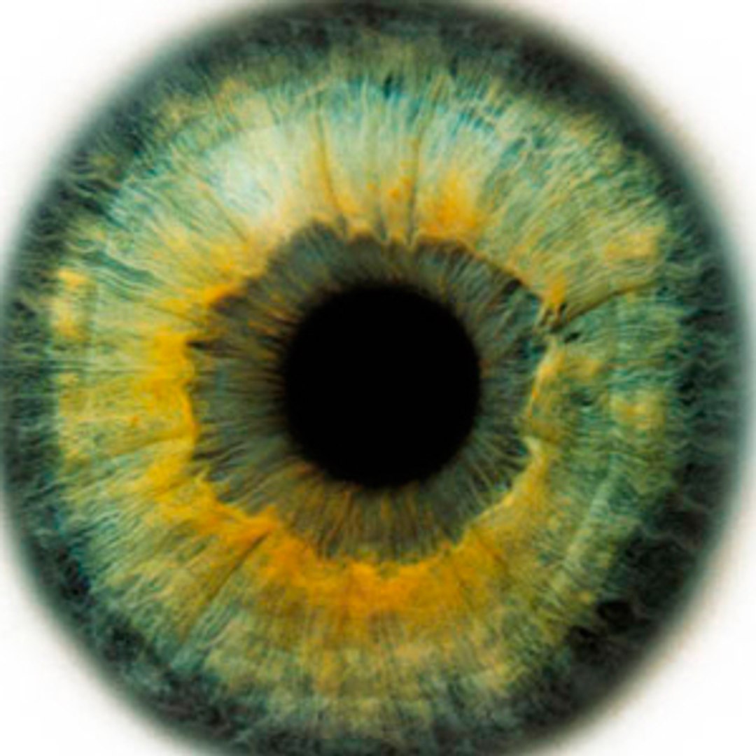 Maya Eye Realistic Human Characters