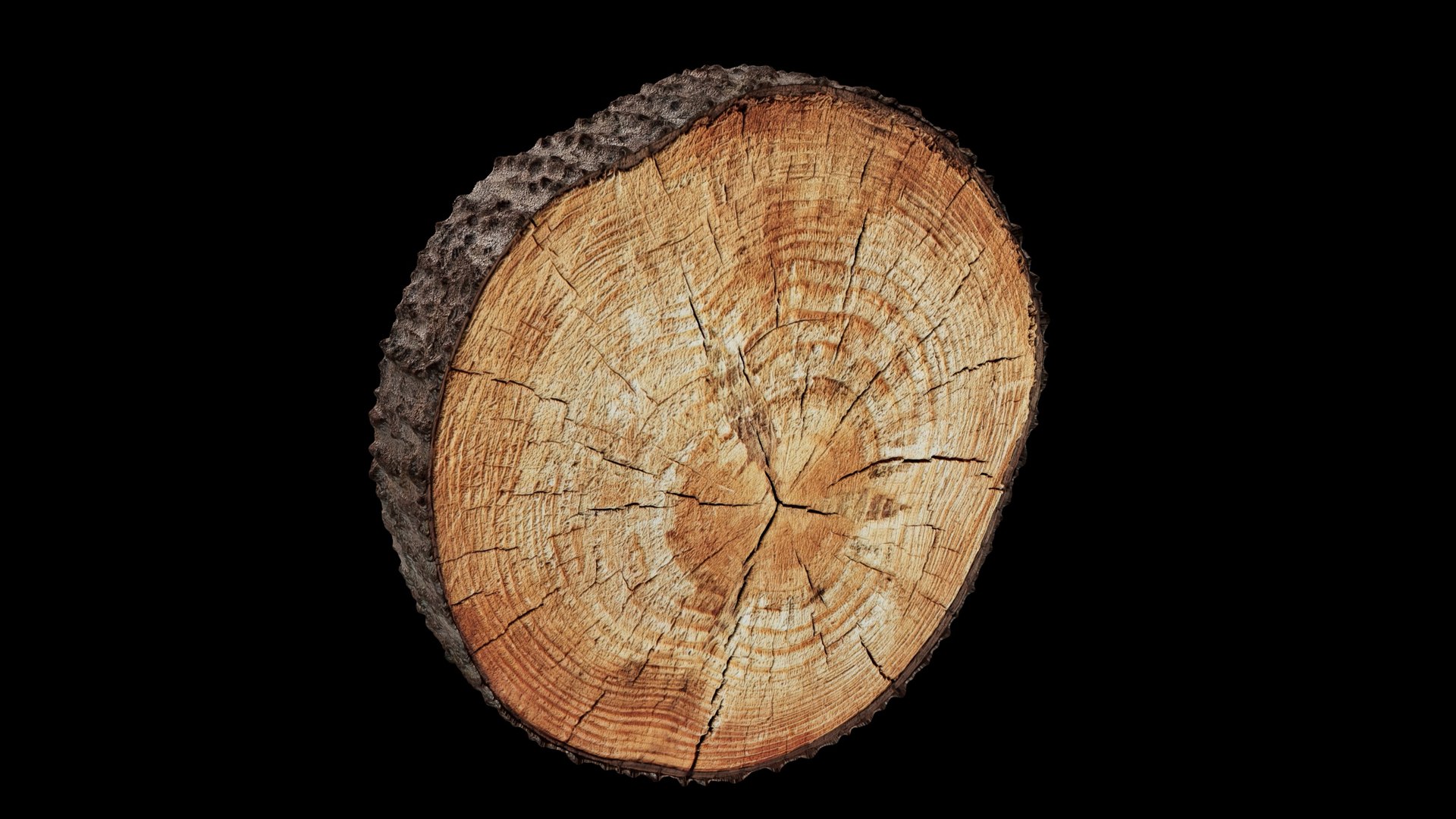 3D Wooden Disc - TurboSquid 2280804