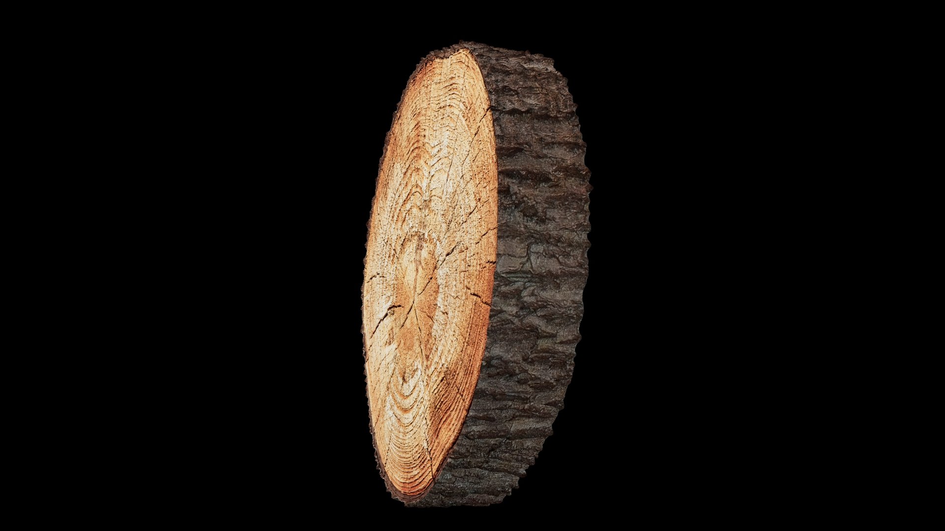 3D Wooden Disc - TurboSquid 2280804