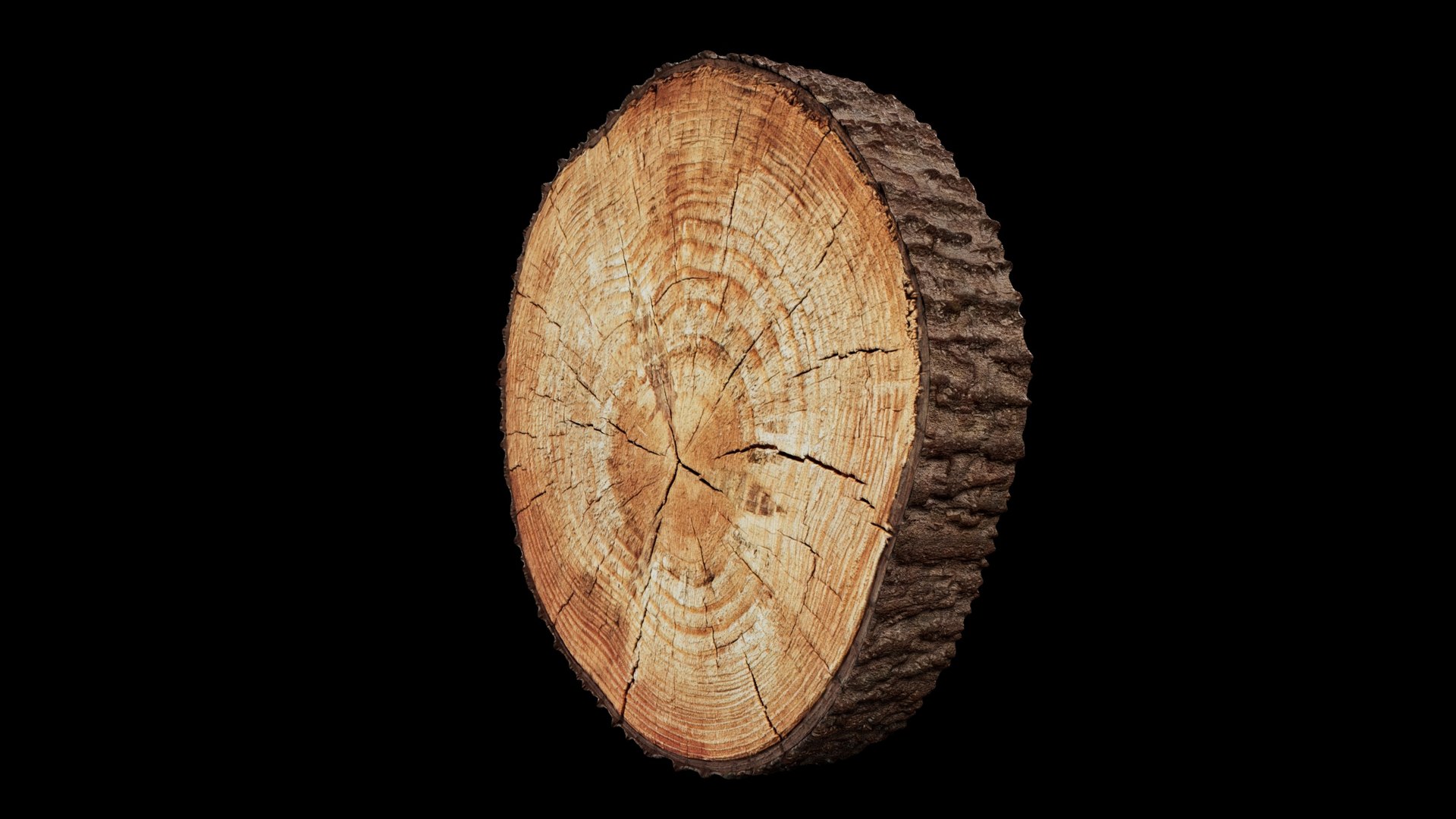 3D Wooden Disc - TurboSquid 2280804