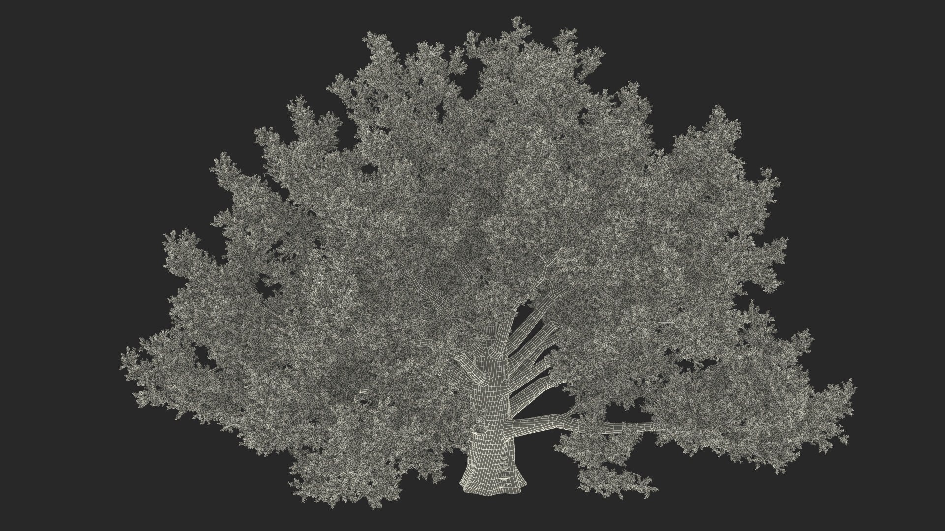 Realistic Oak Tree 3D - TurboSquid 2207188