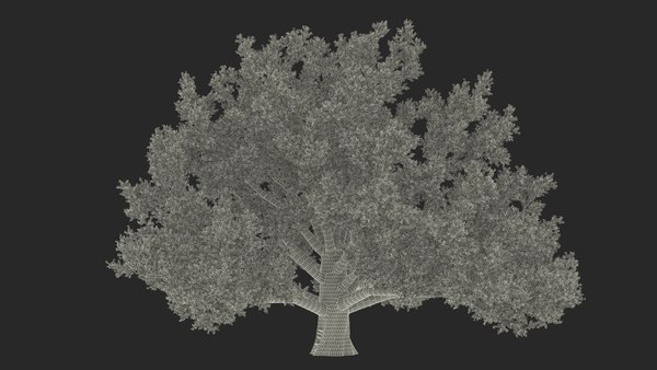 modelo 3d Roble realista - TurboSquid 2207188