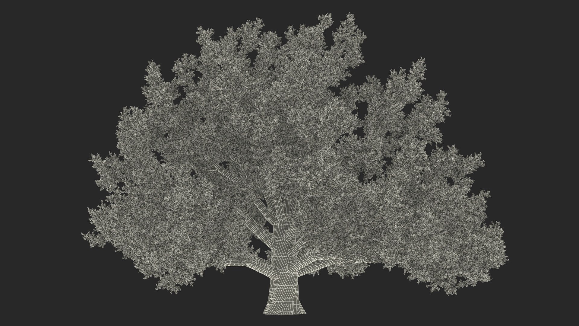 Realistic Oak Tree 3D - TurboSquid 2207188
