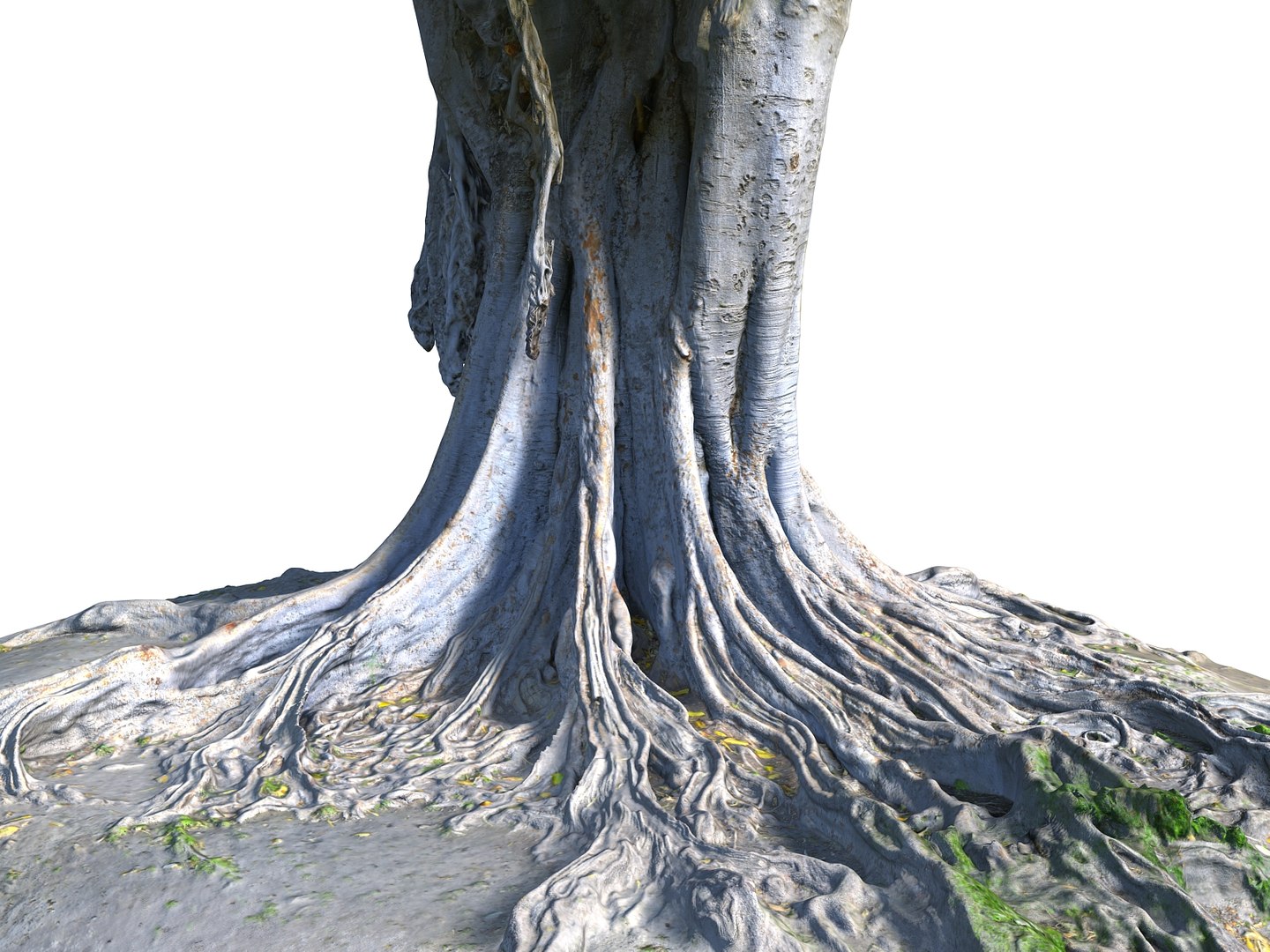 Giant Tree Jungle 3D Model - TurboSquid 1407206