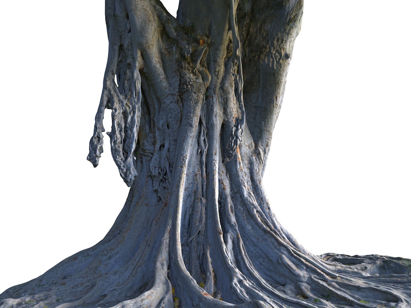 Giant Tree Jungle 3D Model - TurboSquid 1407206