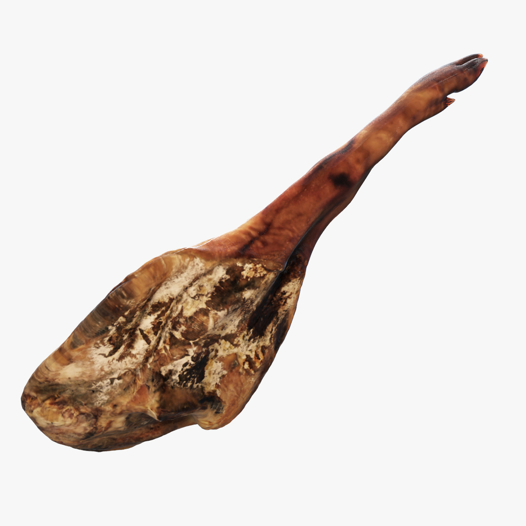 3d Jamon Gammon Model