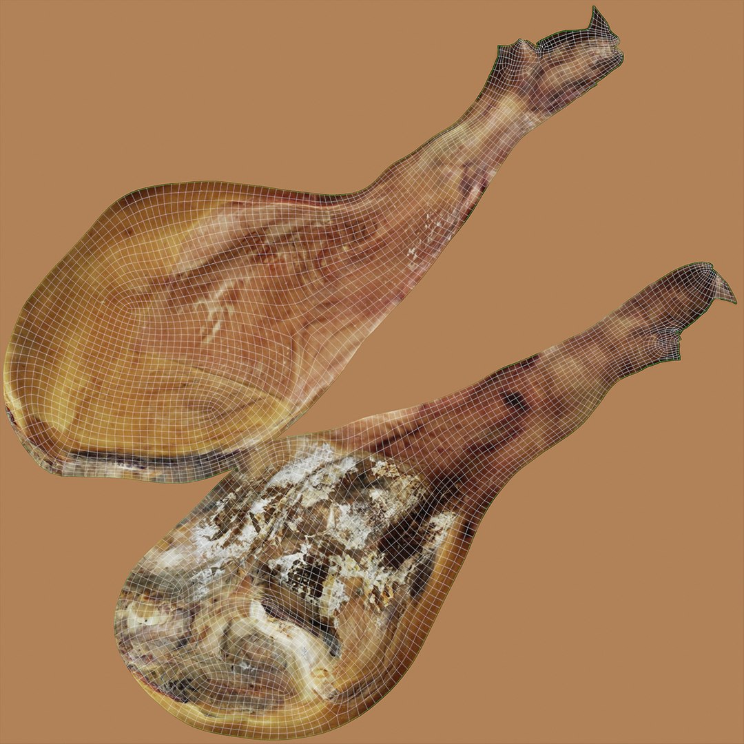 3d Jamon Gammon Model