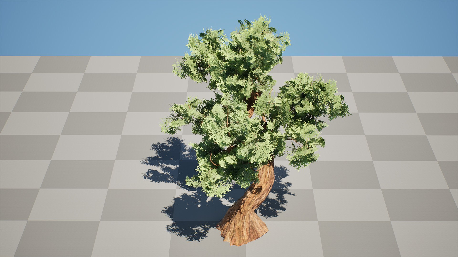 3D 3D Spiral Juniper Asset Model - TurboSquid 2340321