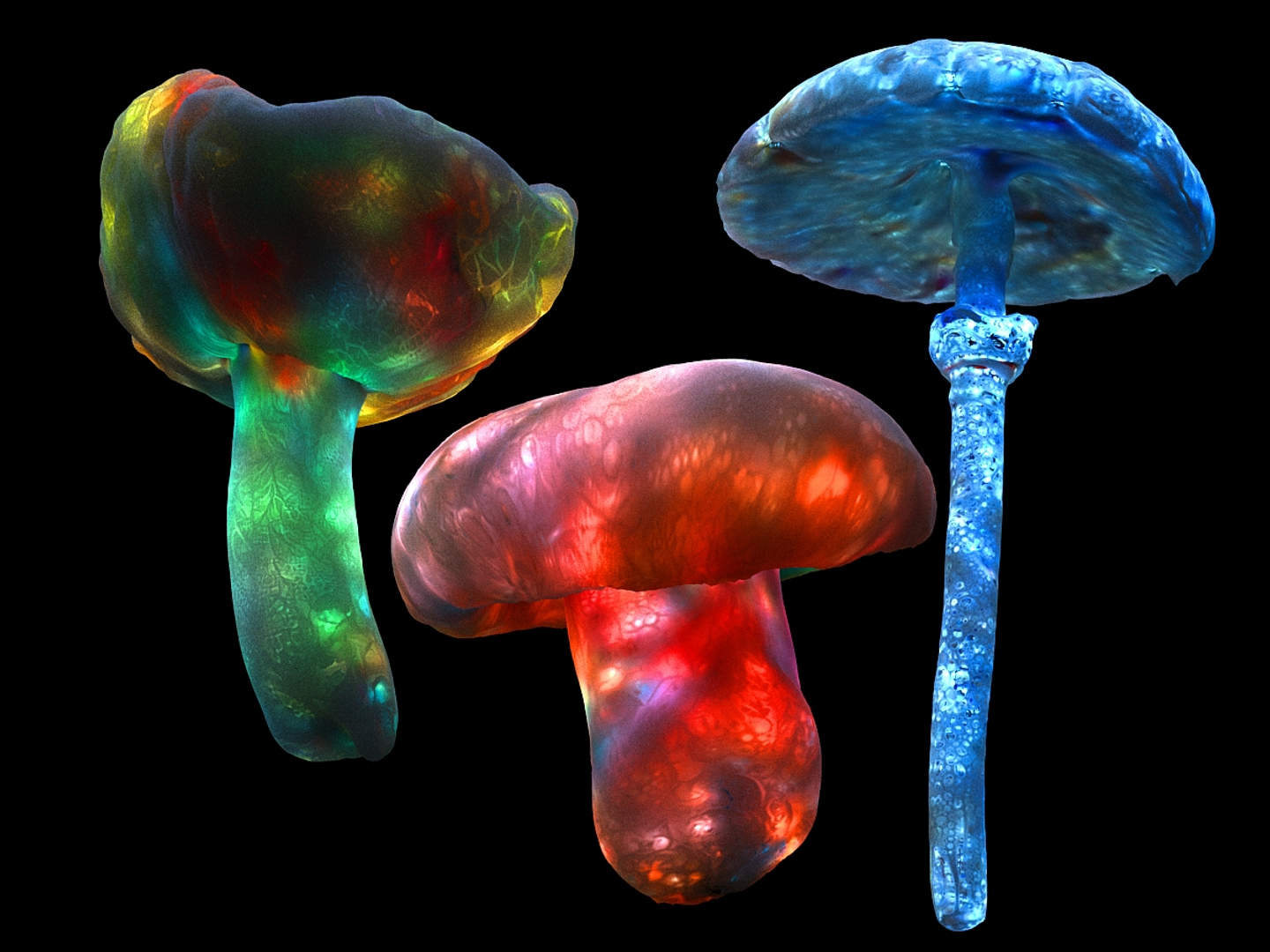Magic Emitting Fungi 3D Model - TurboSquid 1485287