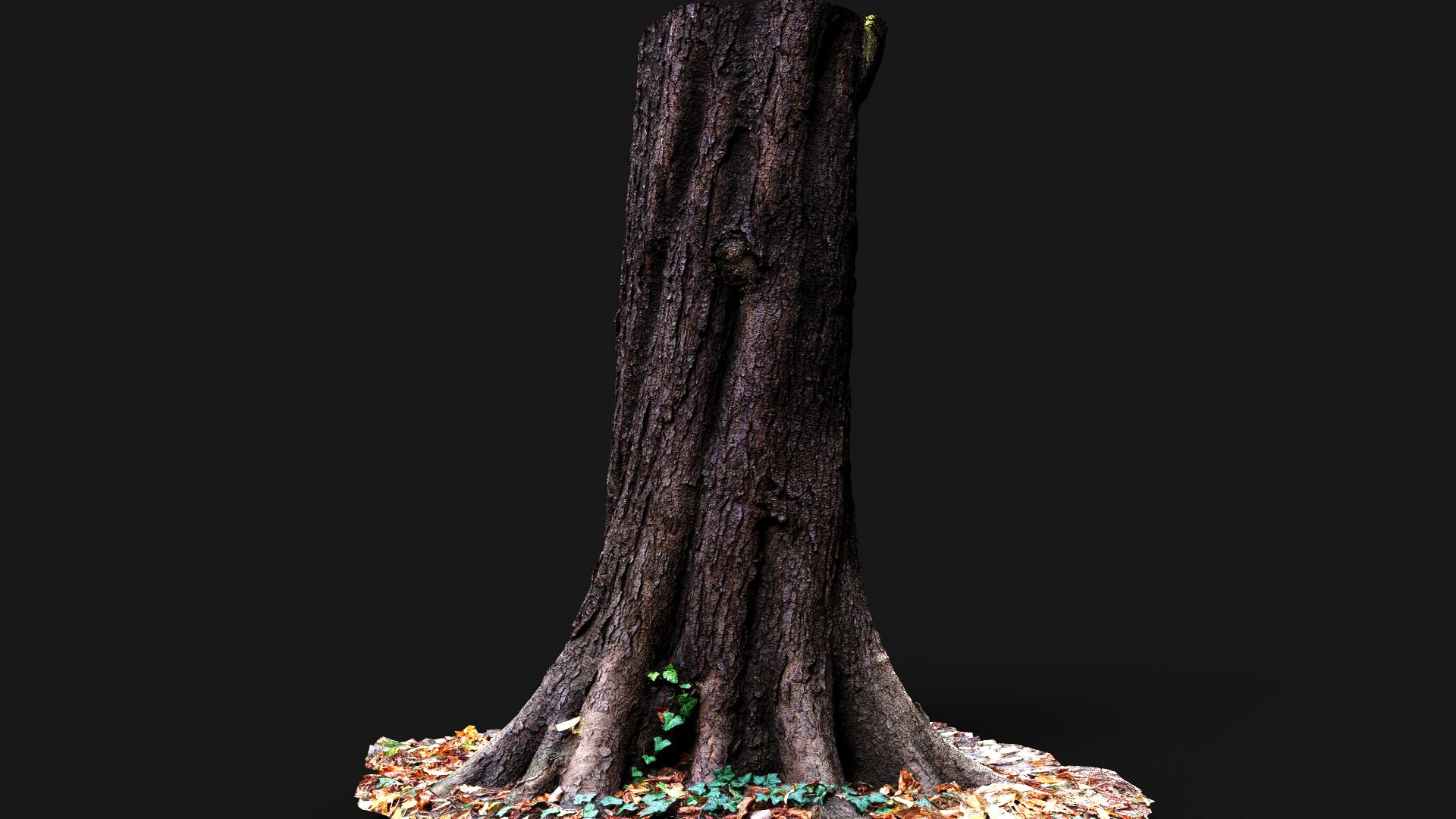 Tree Bark Wide Roots Stump Pt2 PBR Photogrammetry 3D Model - TurboSquid 2400660