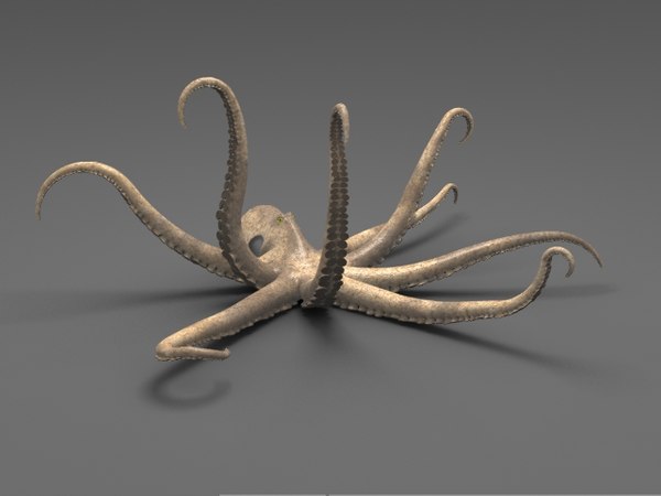 octopus fbx