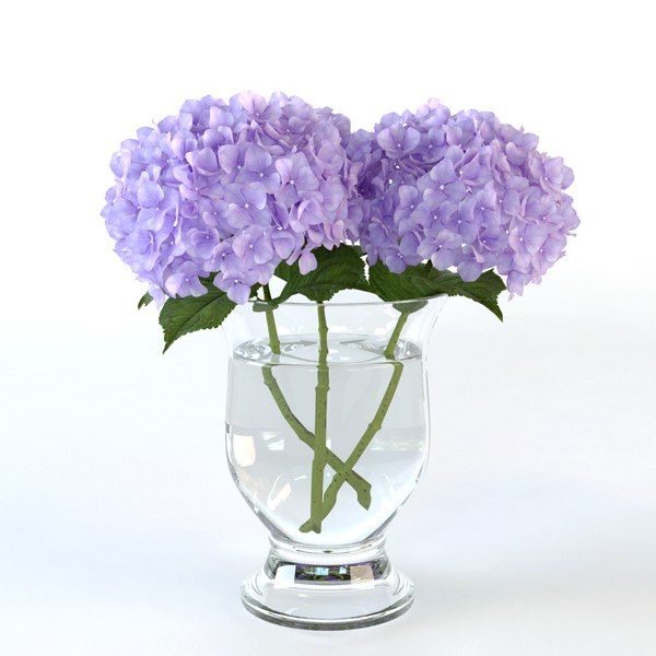branch hydrangeas glass vase max