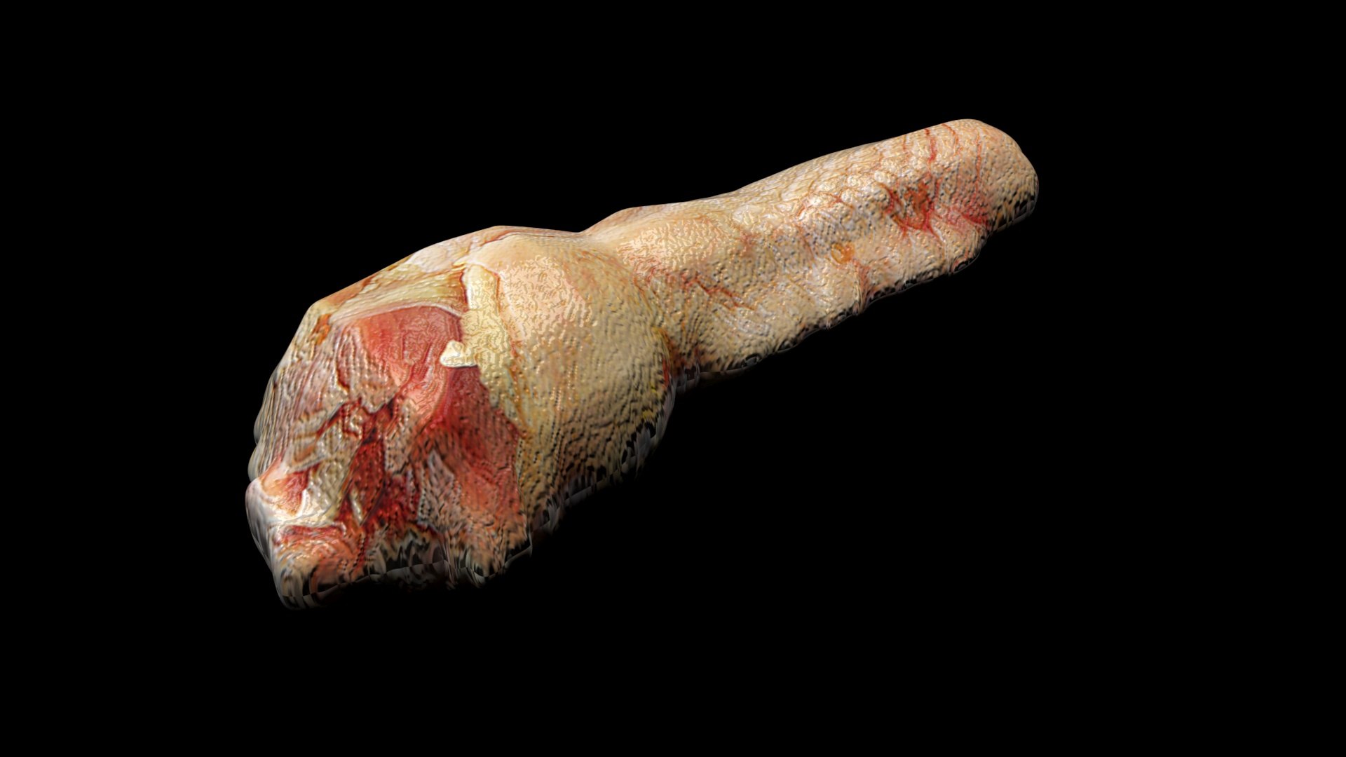 3D Chicken Neck Model - TurboSquid 2249278