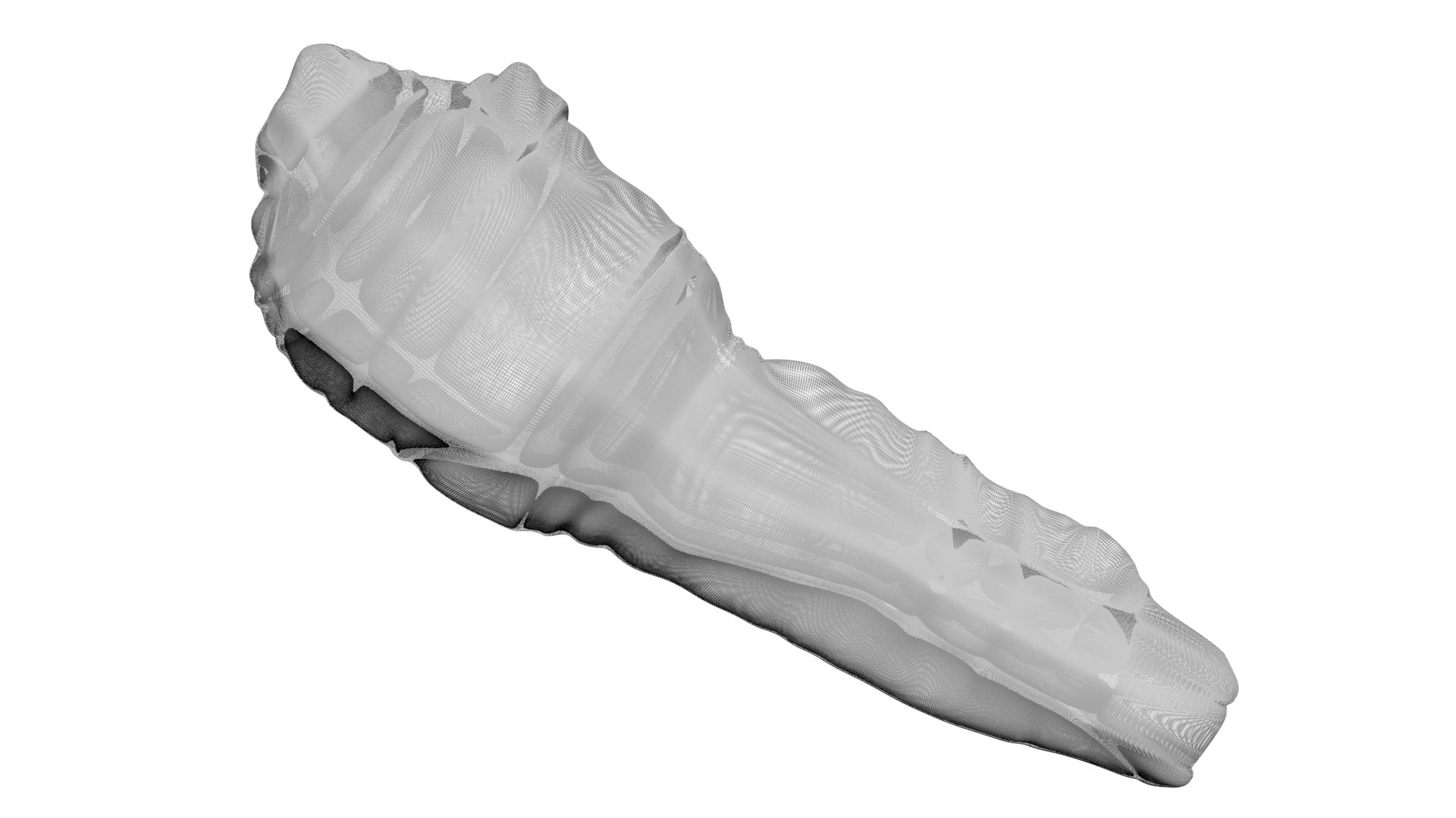 3D Chicken Neck Model - TurboSquid 2249278