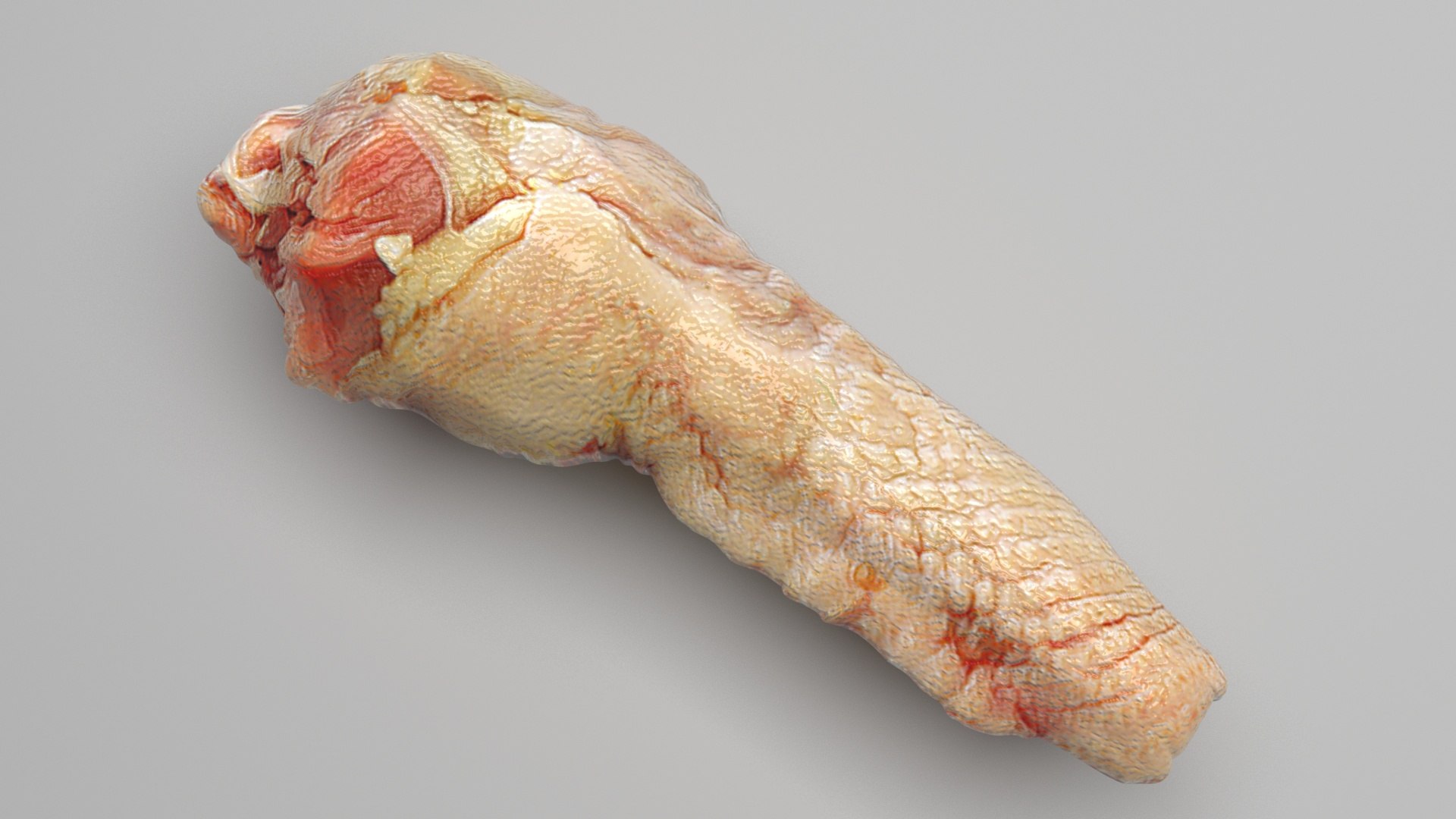 3D Chicken Neck Model - TurboSquid 2249278