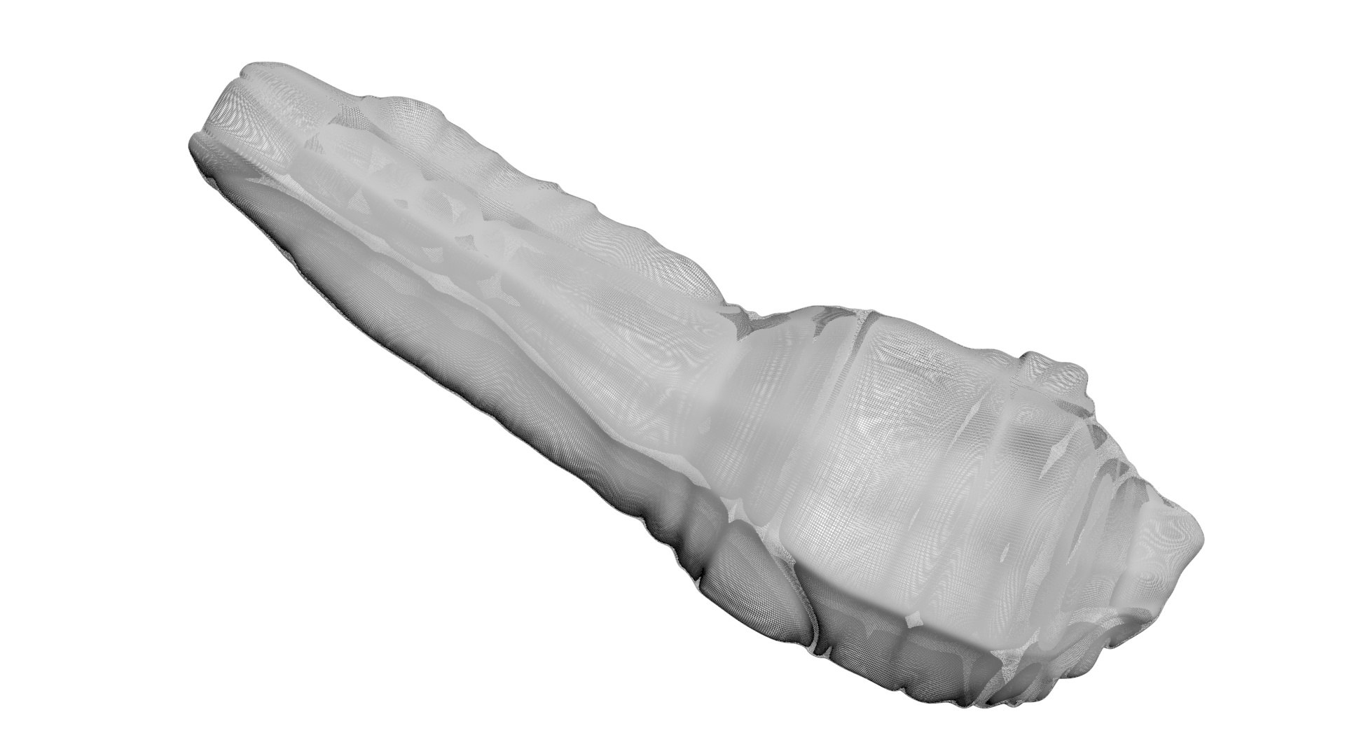 3D Chicken Neck Model - TurboSquid 2249278