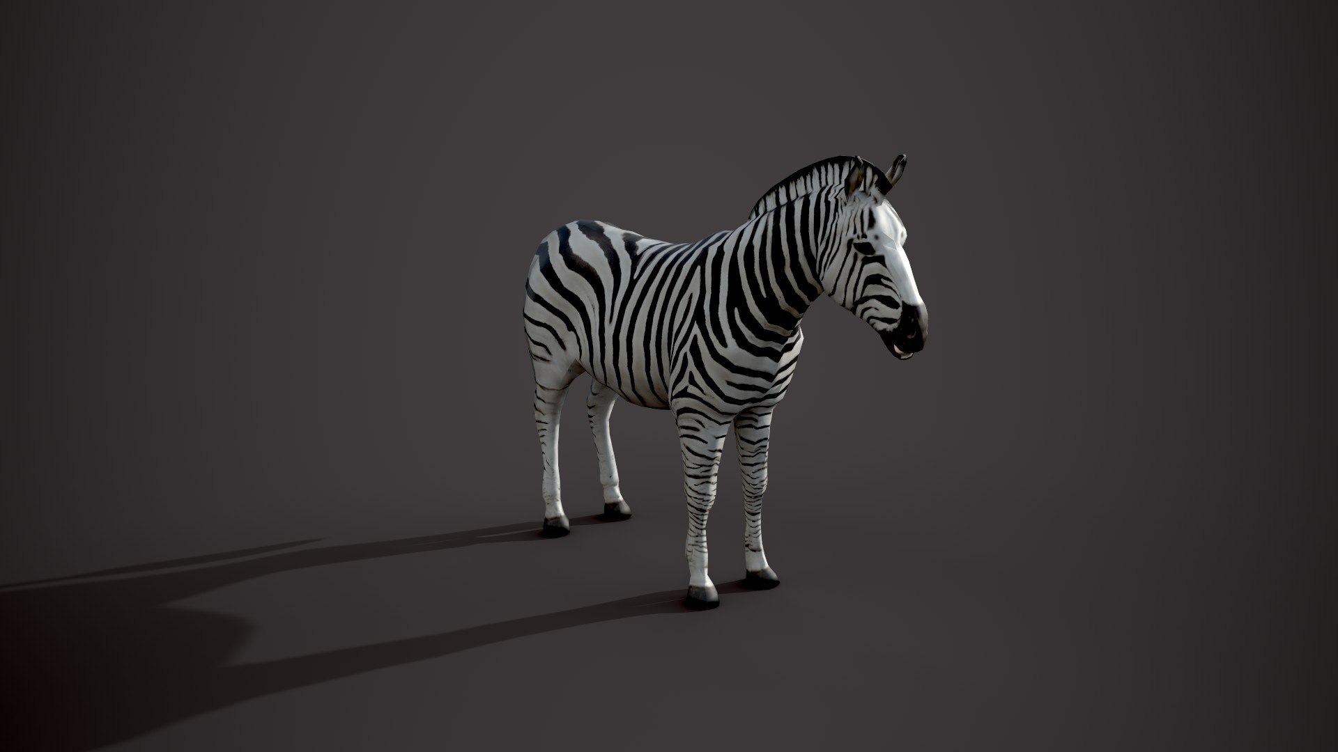 Animal Zebra 3D model - TurboSquid 1980899