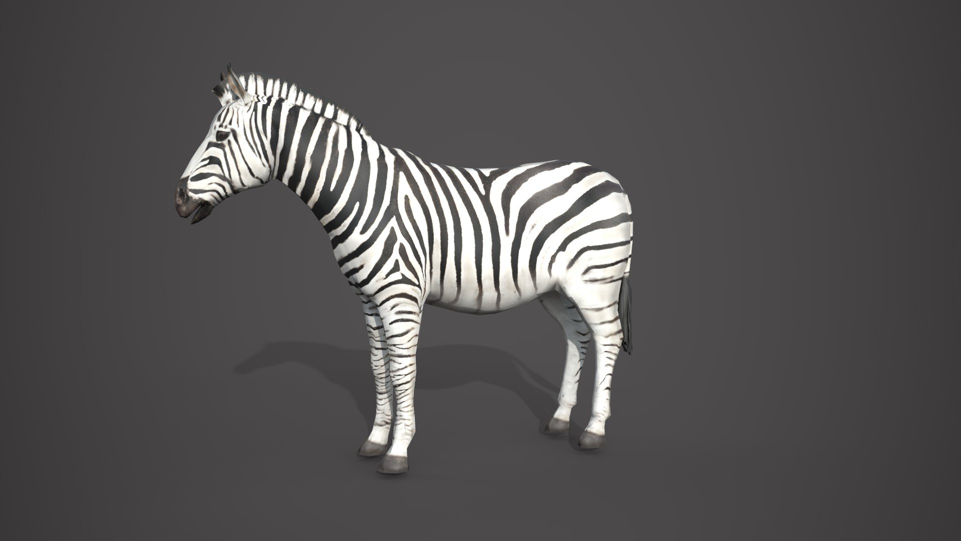 Animal Zebra 3D Model - TurboSquid 1980899