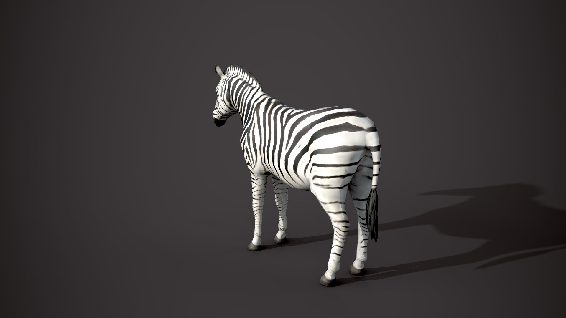 Animal Zebra 3D Model - TurboSquid 1980899