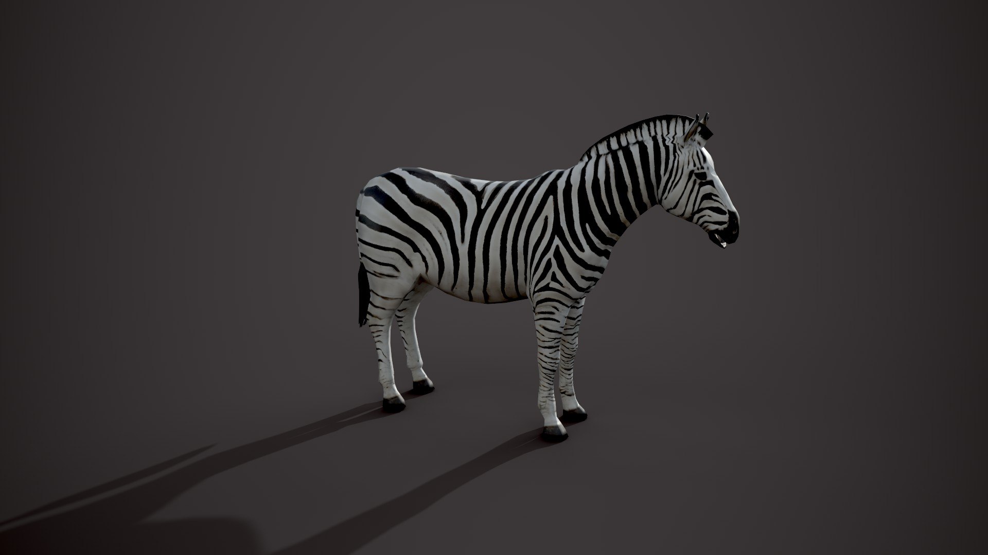 Animal Zebra 3D Model - TurboSquid 1980899